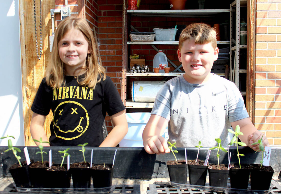 Greenhouse projects continue to grow at Stanton | News, Sports, Jobs ...